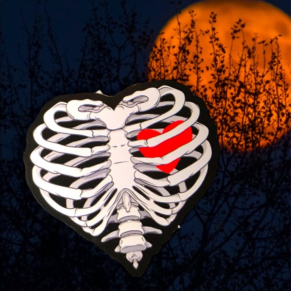 Hand Crafted | Wall Decor | Caged Heart Skeleton Spooky Scary Creepy ...